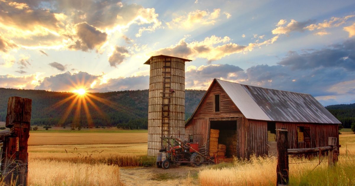 Our guide to the Farm Debt Mediation Act – Johnston Withers Lawyers